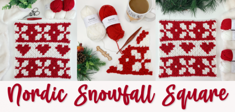 Nordic Snowfall Afghan Square • Green Fox Farms Designs